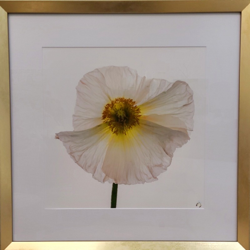 Art Archives - KBK To The Trade